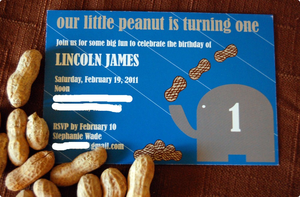 Little Peanut Party: A First Birthday